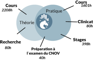 Devenir ostéopathe animalier chez EOS Animal - Eos Animal