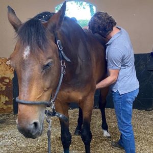 Le métier - Eos Animal