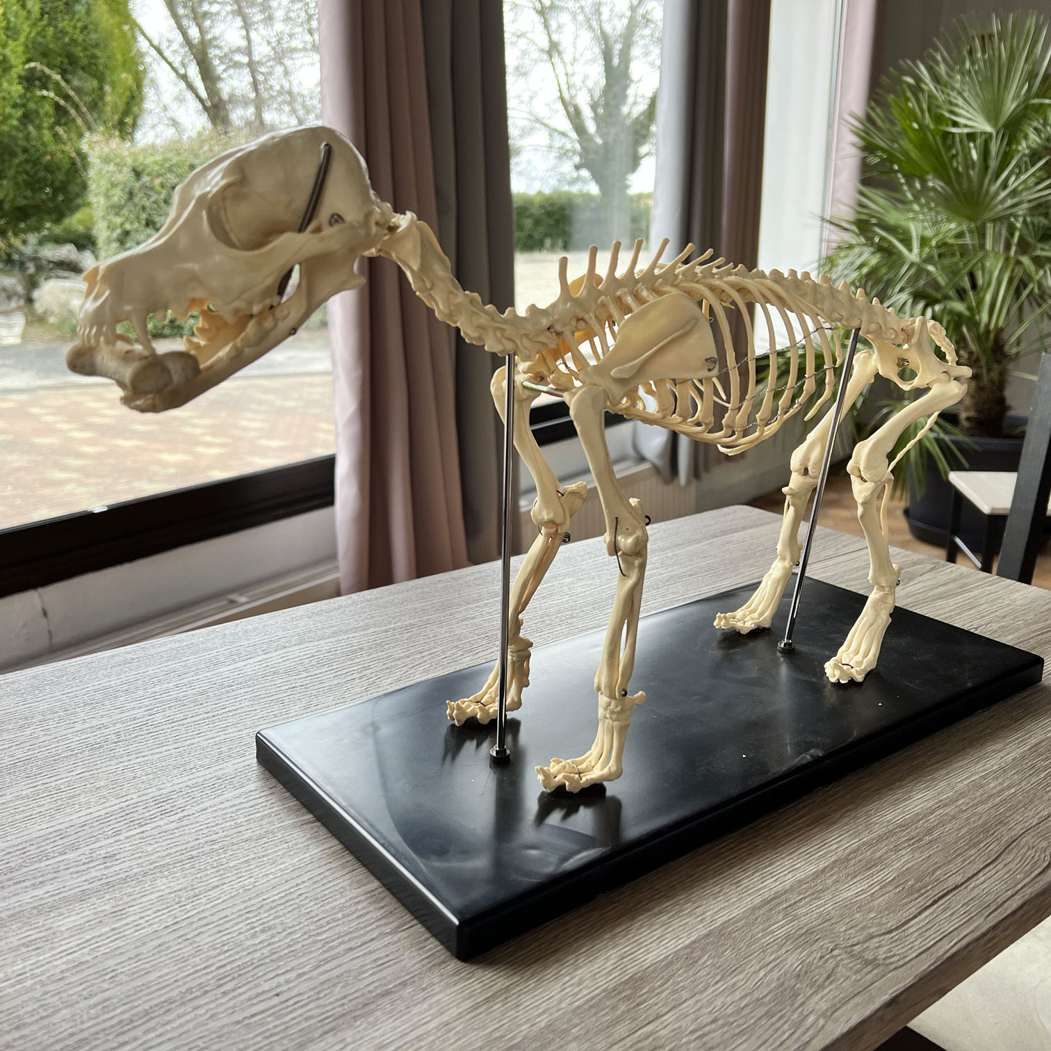 La formation - Eos Animal