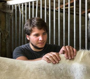 EOS Animal | École d'ostéopathie animale