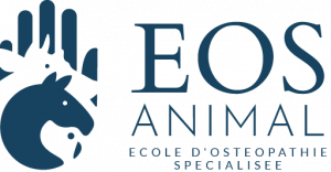 EOS Animal | École d'ostéopathie animale